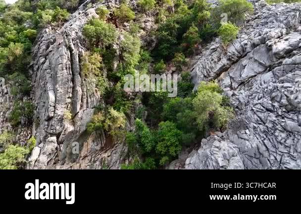 Detailed view of jagged rocky cliffs with green forest vegetation ...