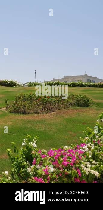 Lawn burnt out in places under the sun. hotel territory on the seashore ...