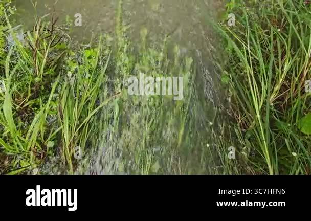 flowing side drain water along the pathway after the heavy rain Stock ...
