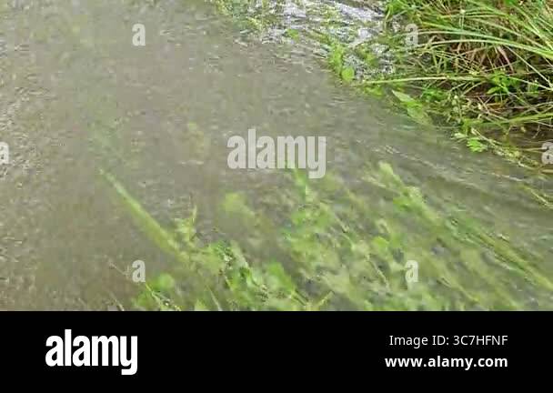 flowing side drain water along the pathway after the heavy rain Stock ...