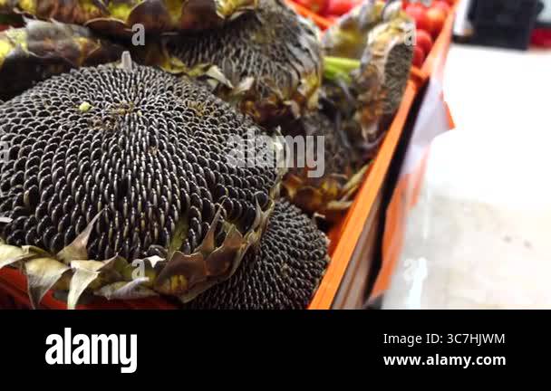 Discovering vibrant sunflower seeds among fresh produce at the market ...