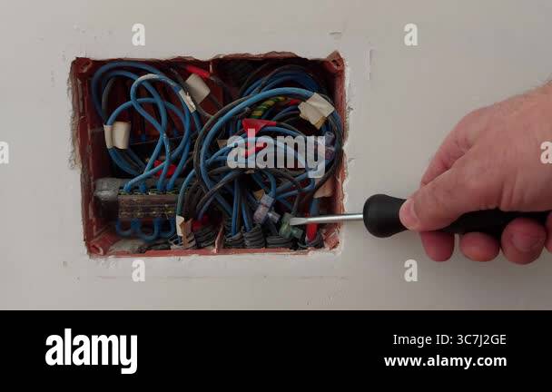 Unveil electrifying wire art. Dive into dazzling designs and creative ...