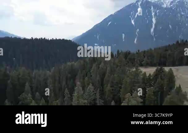 Beautiful baisaran vally of pahalgam kashmir with mountains and forests ...