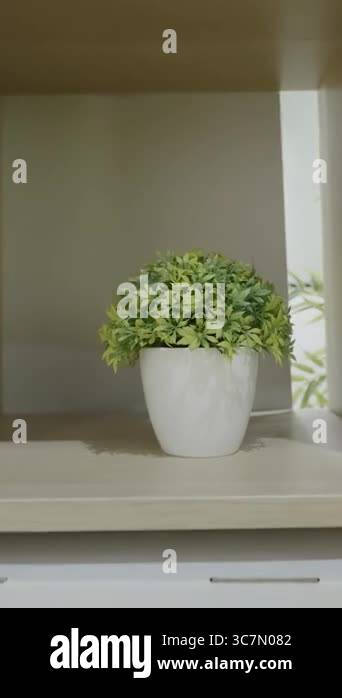 A stylish shelf displaying potted plants and storage boxes, ideal for ...