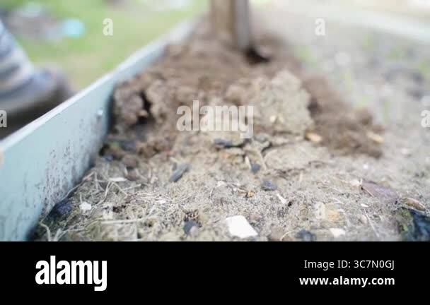 Soil cultivation in garden bed Stock Videos & Footage - HD and 4K Video ...