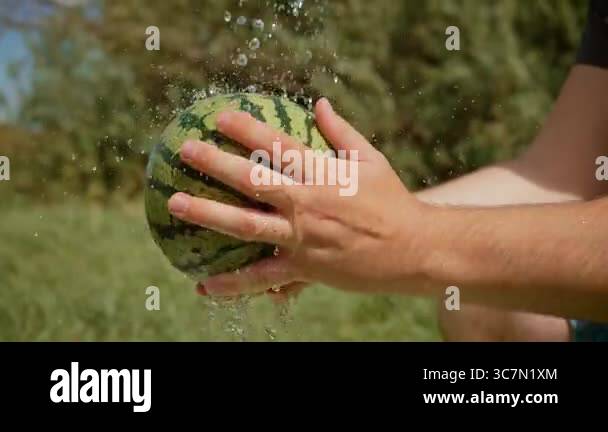 Hands firmly grasping watermelon under flowing water. Streams of ...