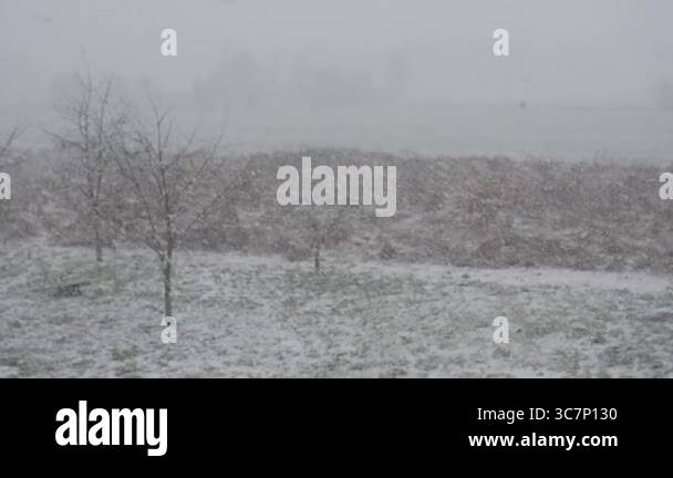 Falling snow over a rural area. Slow Motion. Winter Stock Video Footage ...