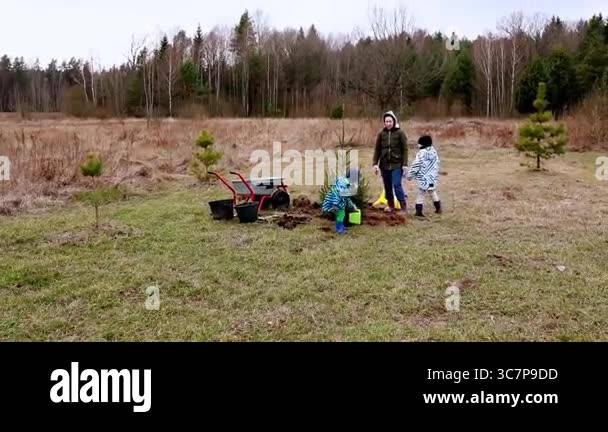 Tree planting initiatives in Stock Videos & Footage - HD and 4K Video ...