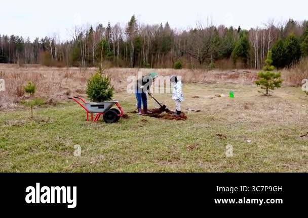 Children are actively involved in planting new trees in a serene forest ...