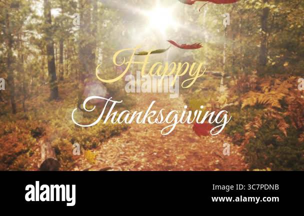 Falling autumn leaves with Happy Thanksgiving text on sunlit forest ...
