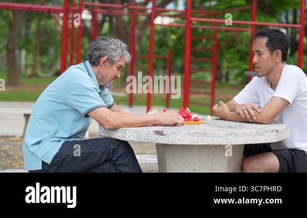 two asian men play chess in the park Stock Video Footage - Alamy