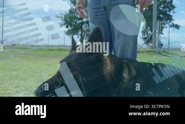 Pie chart and data visualization animation over grassy landscape with ...