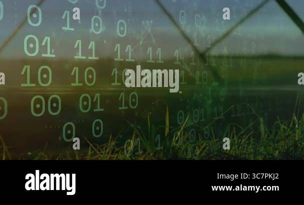 Binary code animation over green landscape with grass and sunlight. Technology, digital, coding ...