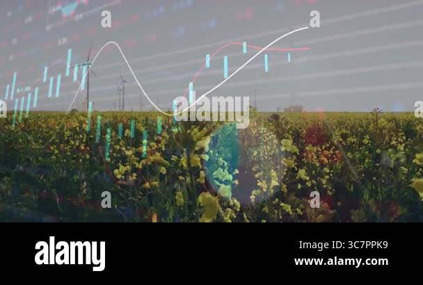 Overlaying financial data graphs, blooming flowers and greenery in ...