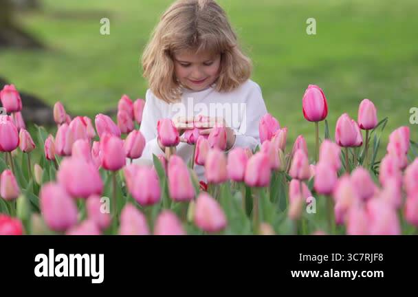 Child in tulip flower field in Holland. Kid in tulips fields in the ...