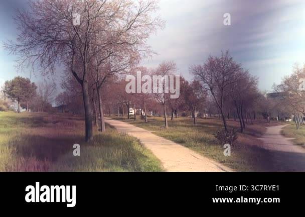 Winding gravel walkway traversing verdant park landscape, revealing ...