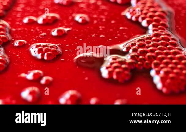 Drops of blood and bloody foam wallpaper. red blood and blood blisters ...