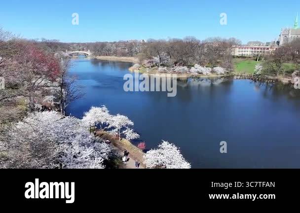 an aerial view of the Cherry Blossom Festival in Branch Brook Park ...