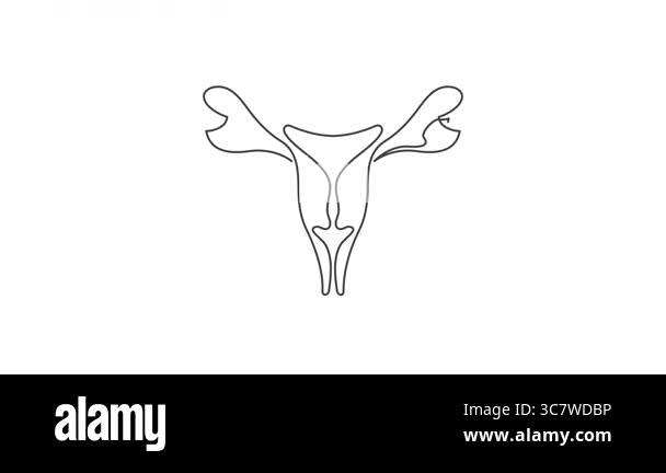 Female reproductive system symbol Stock Videos & Footage - HD and 4K ...