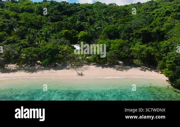 Secluded tropical beach surrounded by lush greenery and clear waters ...