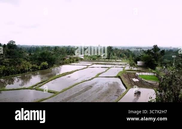Aerial view of rural landscape in Jatiluwih, Tabanan, Bali, showing ...