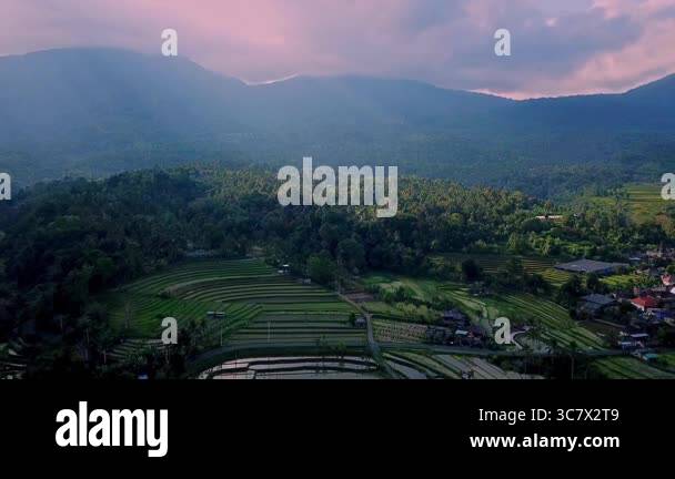 Aerial view of rural landscape in Jatiluwih, Tabanan, Bali, showing ...