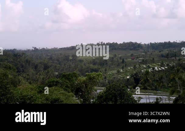 Still video captures the rural landscape of Jatiluwih with expansive ...
