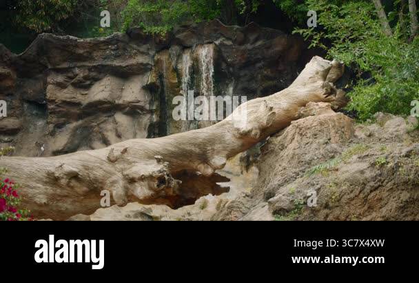 A scenic view of a large waterfall flowing down rock formations framed ...