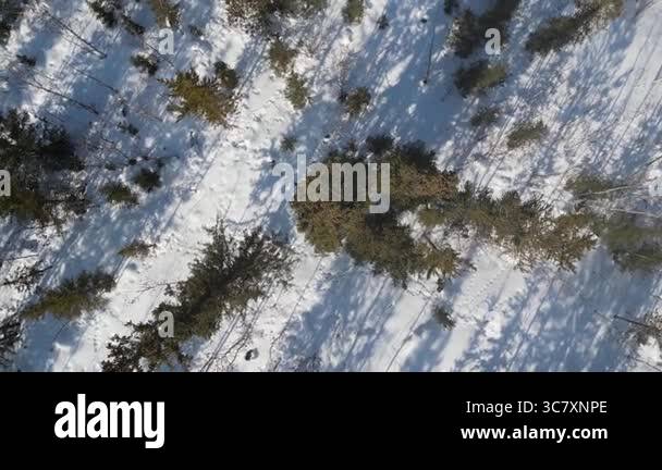 4k drone footage of the snow covered landscape near Behchoko in the ...