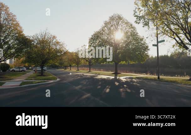Beautiful trees on a sunny day. Sun rays come through the branches and ...
