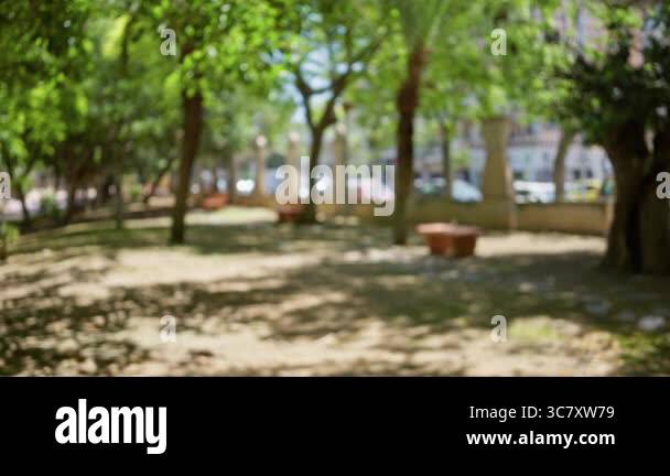 Blurred outdoor park scene with green trees and defocused background ...