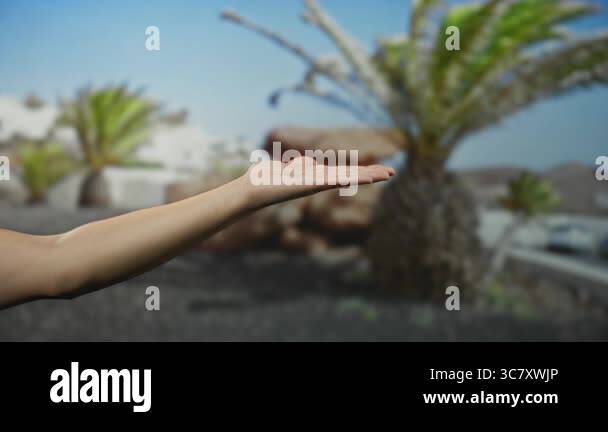 Man hands gesturing in open urban area with palm trees on a sunny day ...
