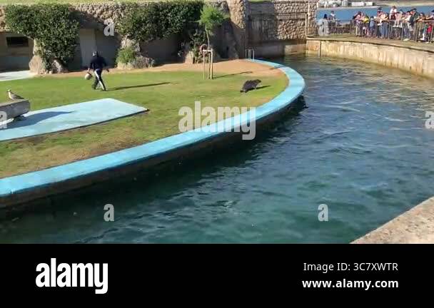 Seal sanctuary marine zoo. Beaches and coastline views of Santander ...