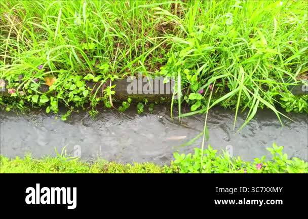 Natural ditch on field Stock Videos & Footage - HD and 4K Video Clips ...