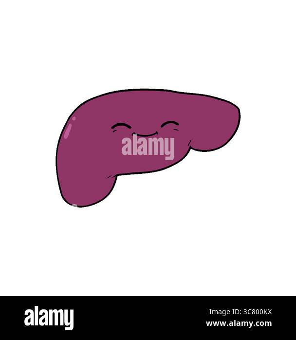 A simple looping animated cartoon liver Stock Video Footage - Alamy