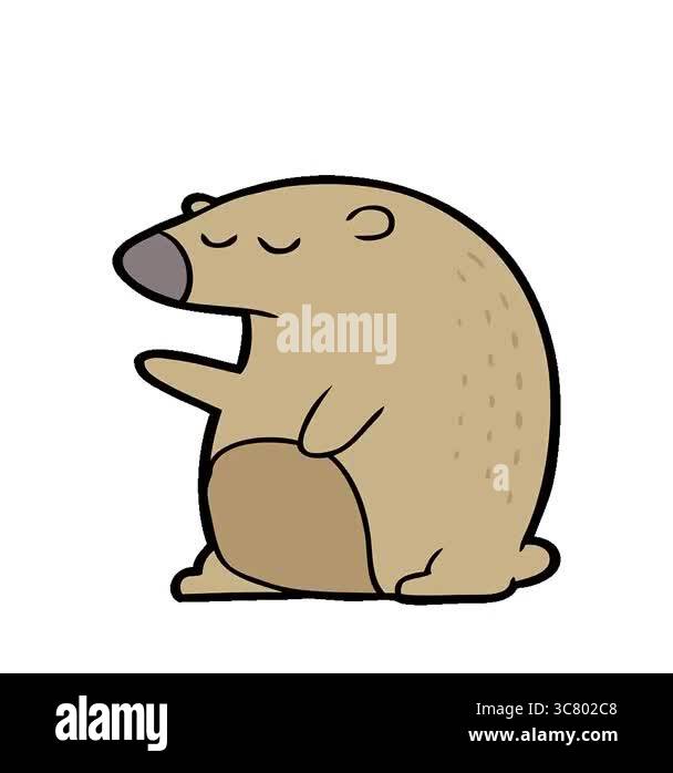 A simple looping animated cartoon bear Stock Video Footage - Alamy