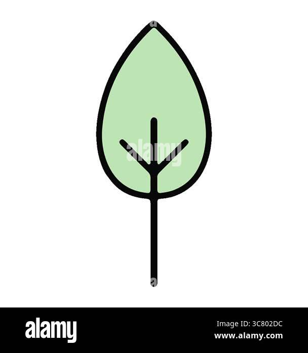 A simple looping animated simple leaf illustration Stock Video Footage ...