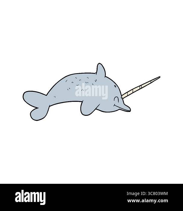 A simple looping animated cartoon narwhal Stock Video Footage - Alamy