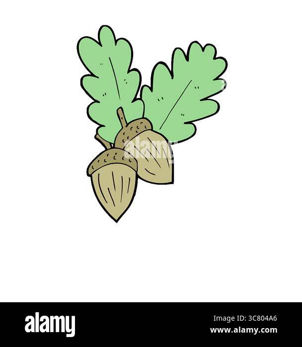 A simple looping animated cartoon acorns Stock Video Footage - Alamy