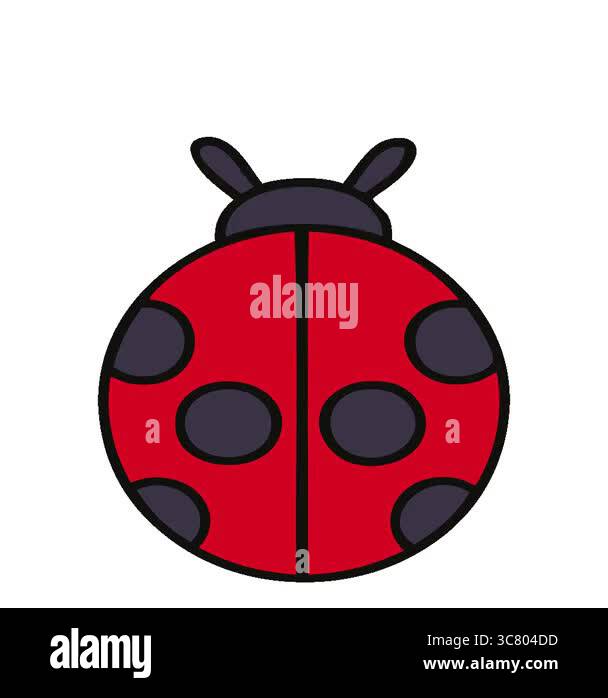 A simple looping animated cute cartoon of a lady bug Stock Video ...