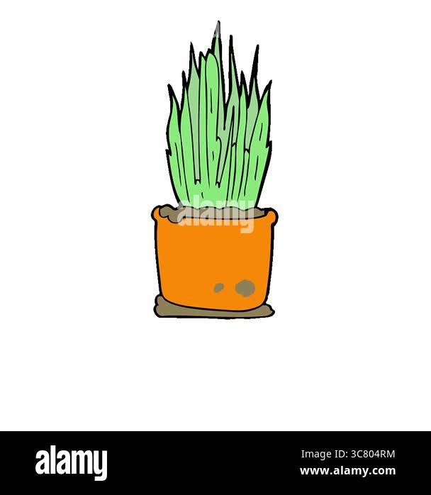 A simple looping animated cartoon house plant Stock Video Footage - Alamy