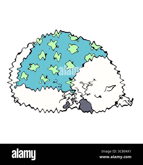 A simple looping animated cartoon polar bear sleeping Stock Video ...