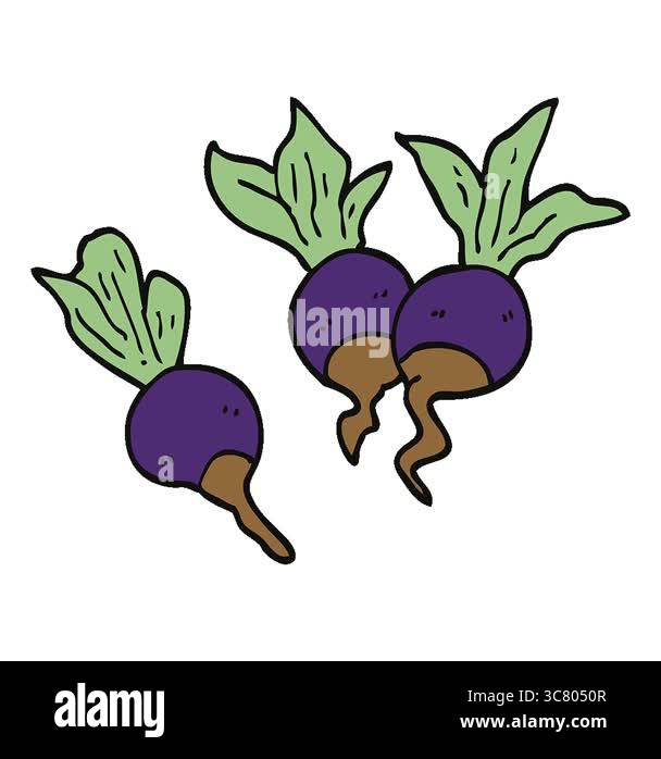 A simple looping animated cartoon doodle beetroot plants Stock Video ...