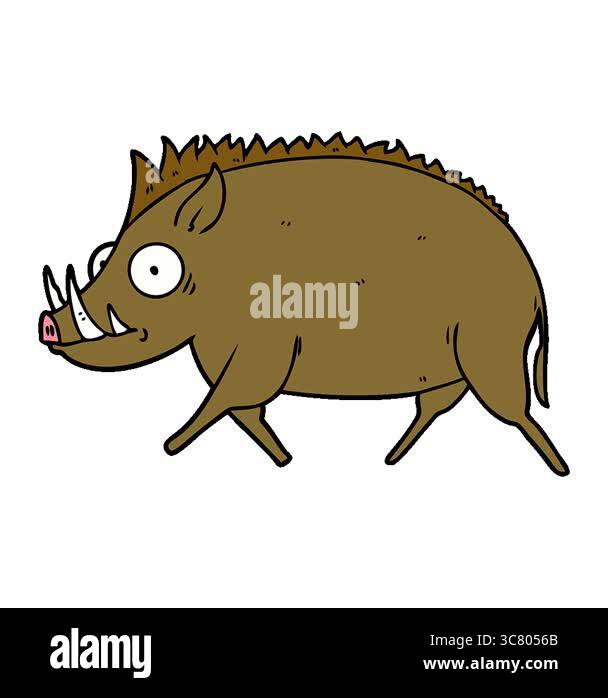 Cartoon illustration wild pig boar Stock Videos & Footage - HD and 4K ...