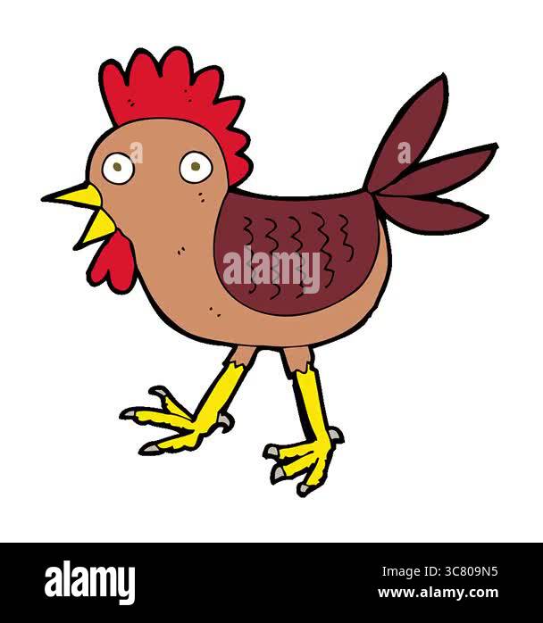 A simple looping animated funny cartoon chicken Stock Video Footage - Alamy
