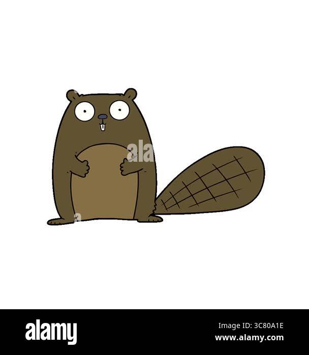 A simple looping animated cartoon beaver Stock Video Footage - Alamy