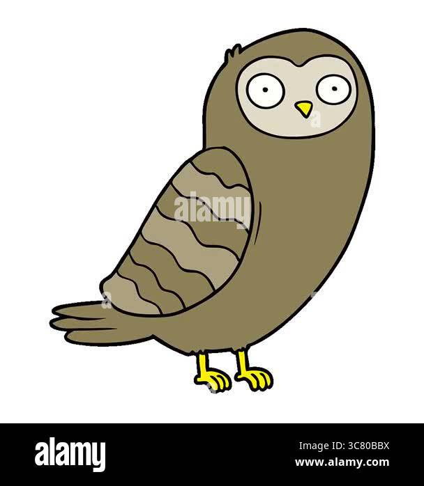 A simple looping animated cartoon owl Stock Video Footage - Alamy