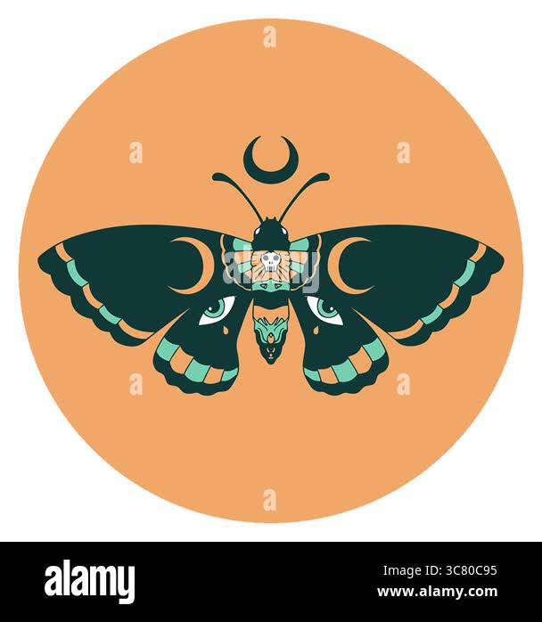 A simple looping animated iconic tattoo style image of a moth Stock ...