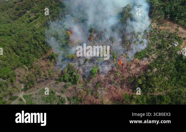 Forest aflame environmental toll of wildfires on planet Earth aerial ...