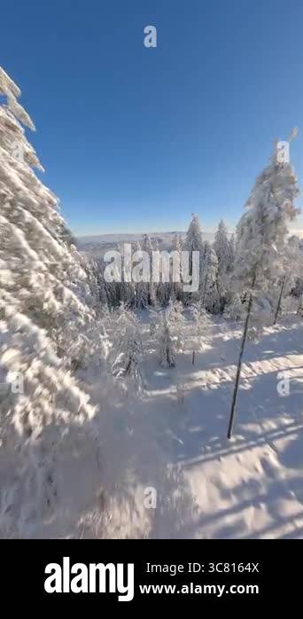 Immersive FPV drone flight through winter forest covered in fresh snow ...